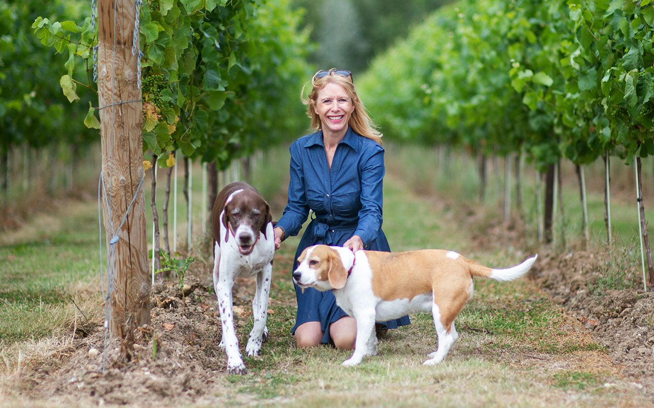 Meet Gail Gardner: Managing Director and Ashling Park superstar ...